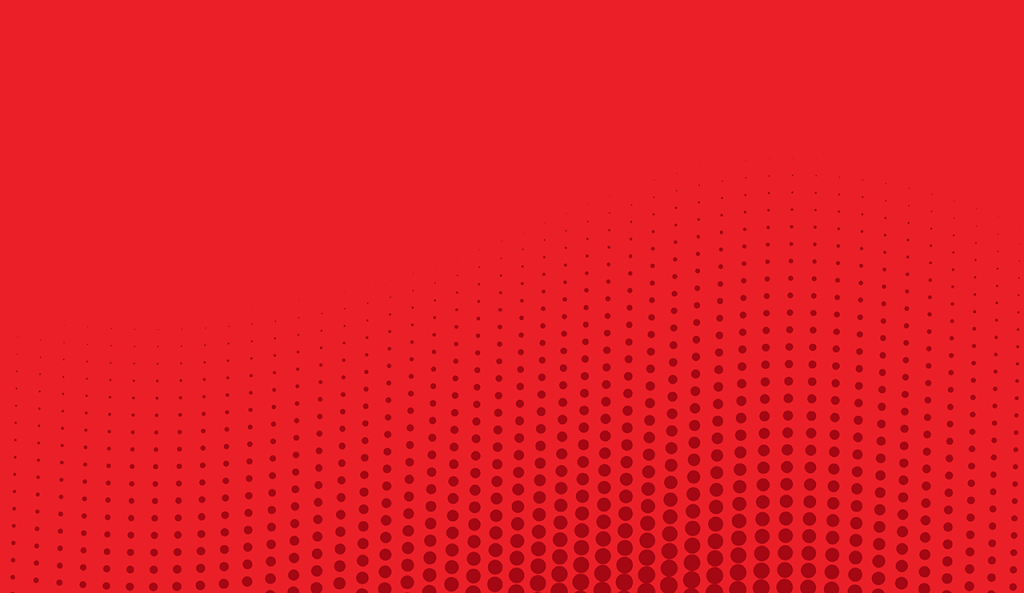 ABOUT US – RamRom Tech